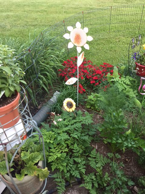Weekend of Plant Sales and Planting! - Haven of Creativity