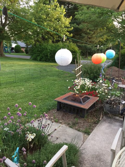 Weekend of Plant Sales and Planting! - Haven of Creativity